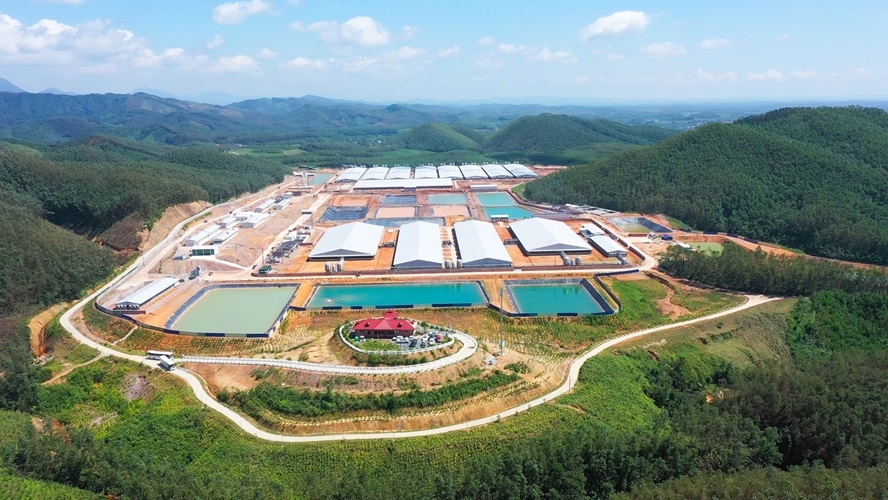 Khôi Phục Ngành Chăn Nuôi Heo Việt Nam Những Bước đi Hậu Dịch Tả Và